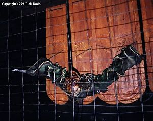 Phantasmagoria at Bell's Amusement Park - Tulsa, OK